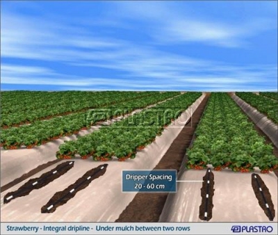 Hydro PC dripline full maritime containers